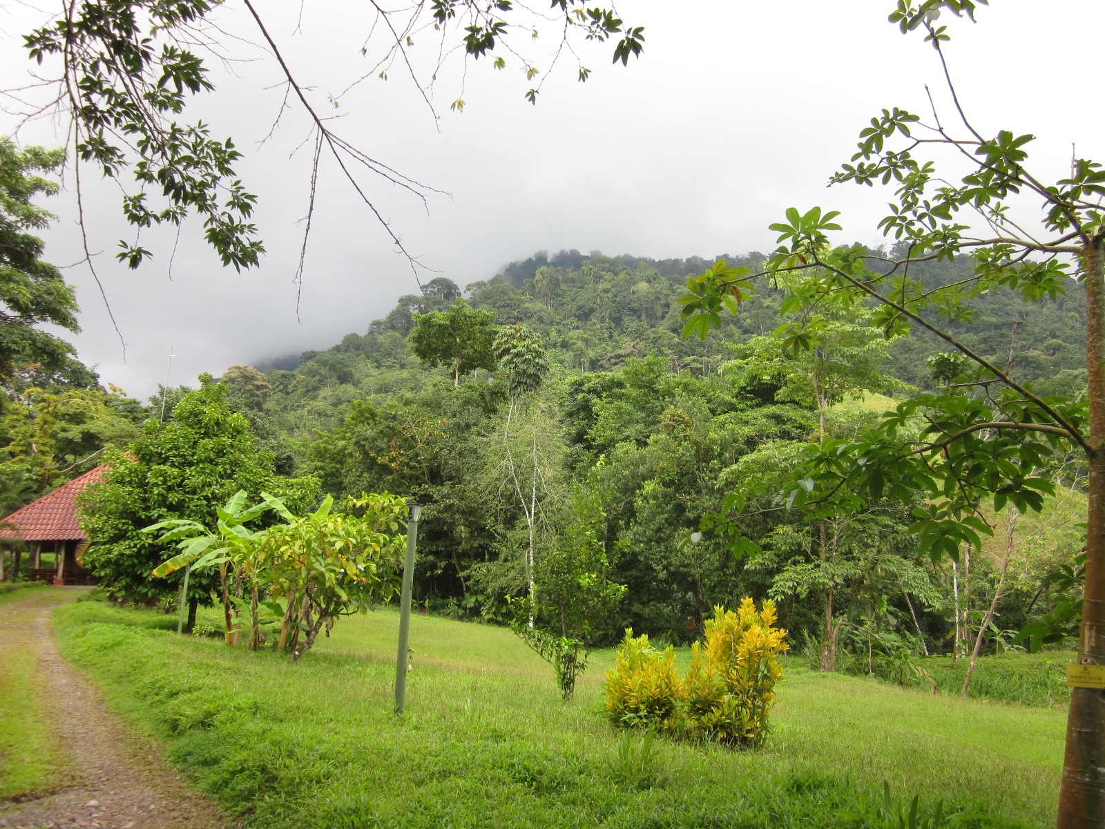Costa Rican Rainforest Getaway: Manuel Antonio and Rainmaker Reserve ...